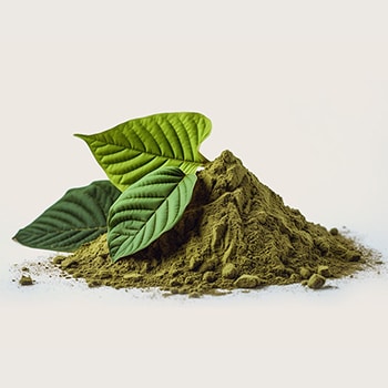 How Long Is Kratom In Your System 7 Facts On Effects And Doses